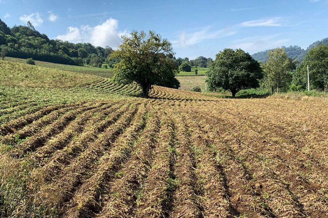 Piden campesinos la restitución a derechos agrarios y parar despojos ...